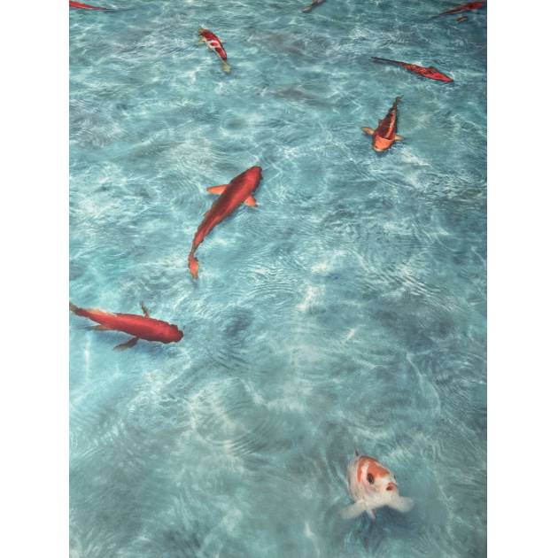 Moonlight Koi Carp Fish Vinyl | £16.95 / sq. metre