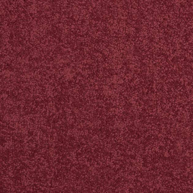 Lifestyle Floors Daintree Bleach Cleanable Carpet - 100% Recycled Yarn ...