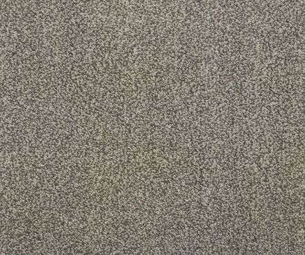 Carefree Carpets Sumptuous Available here in 18 Colours| From £13.99 per m2