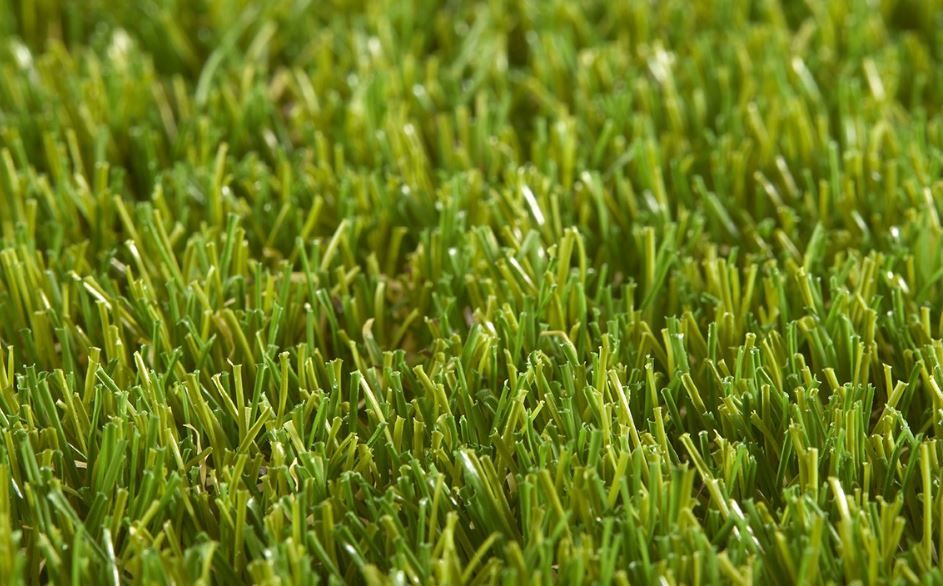 Lano Pro Lawn Linden | SPECIAL OFFER