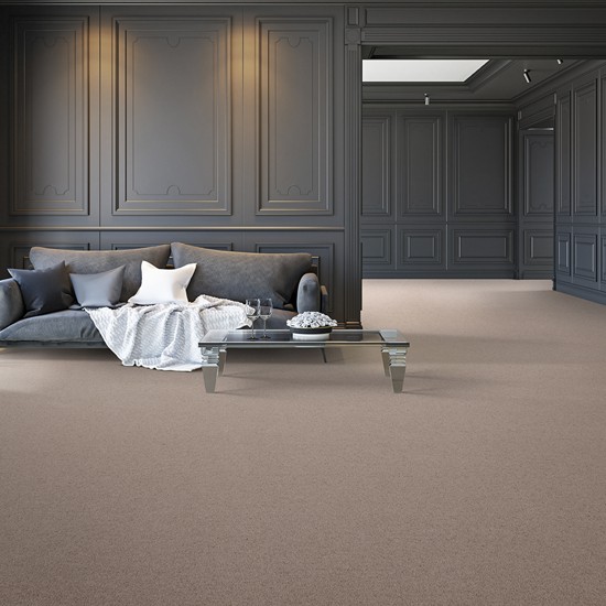 Smart Strand Celeste Forever Clean Carpet - Special Online Offer - Just ...