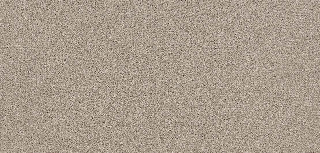 Renaissance Twist Carpet | SPECIAL OFFER