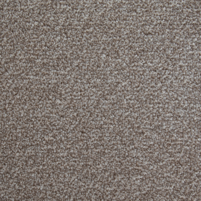 Lifestyle Floors Canterbury Extra Carpet | SPECIAL OFFER