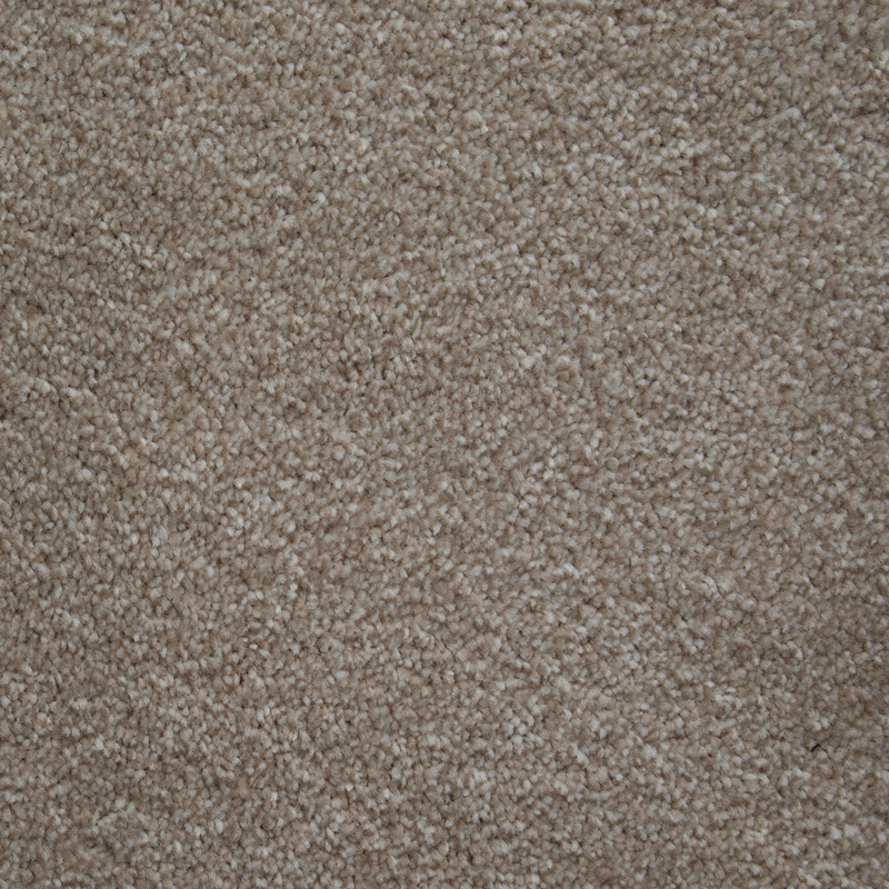Lifestyle Floors Canterbury Extra Carpet | SPECIAL OFFER