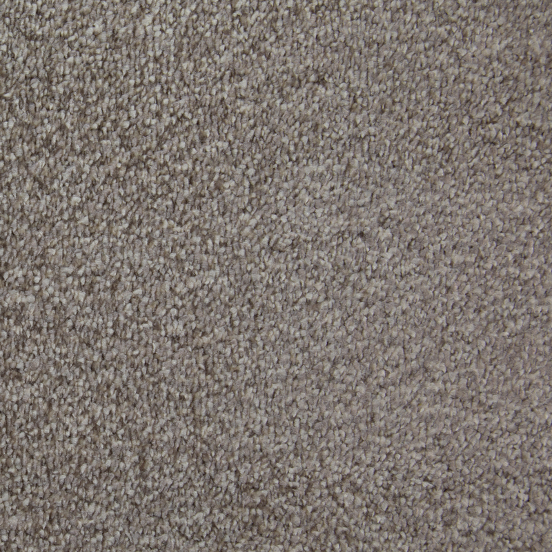 Lifestyle Floors Canterbury Plus Carpet | SPECIAL OFFER
