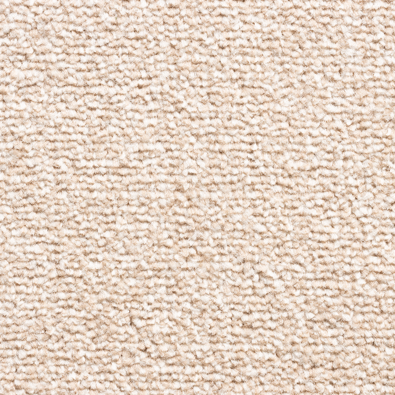 Lifestyle Floors Chapter Carpet | SPECIAL OFFER