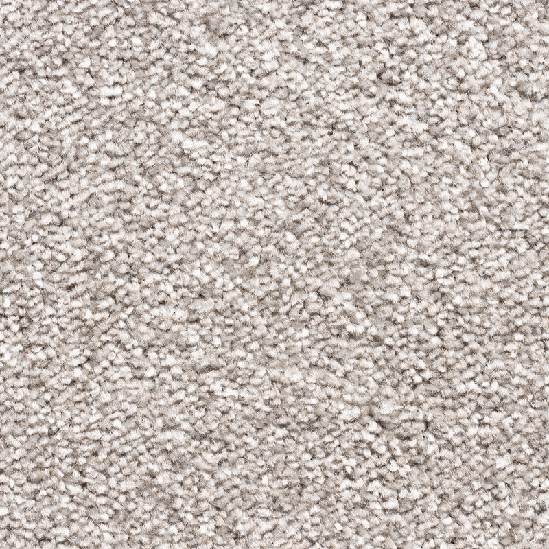 Lifestyle Floors Chapter Carpet | SPECIAL OFFER