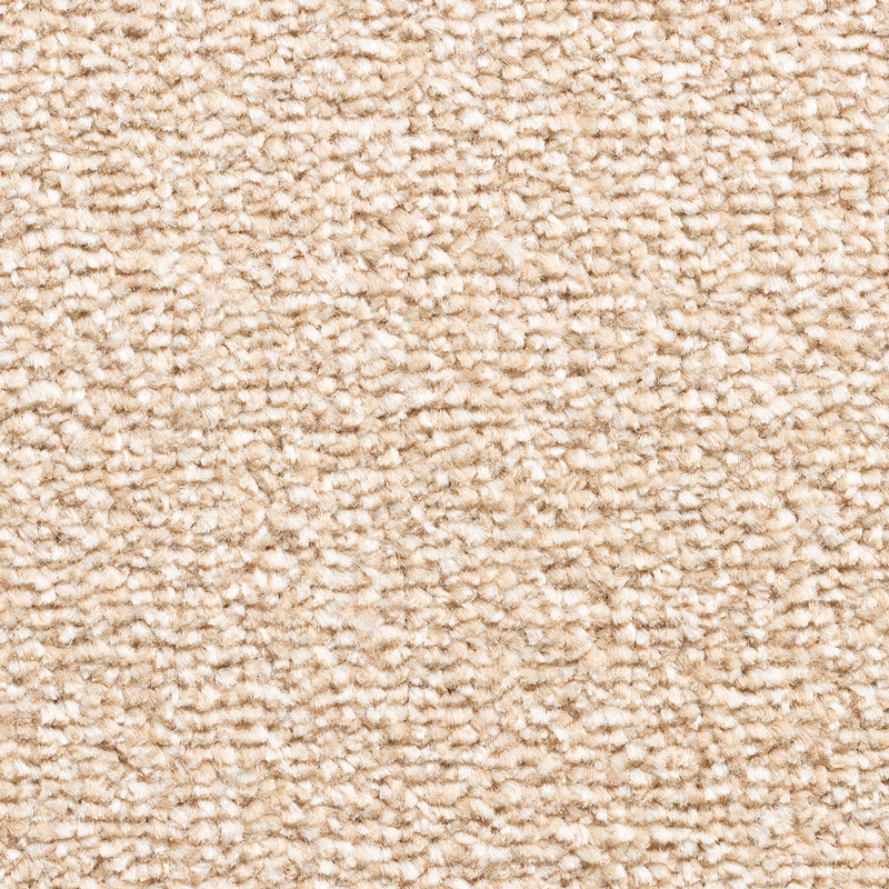 Lifestyle Floors Chapter Carpet | SPECIAL OFFER