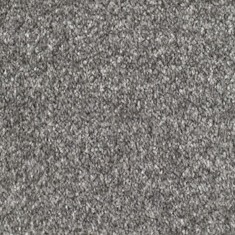 Everyroom Brixham Carpet | SPECIAL OFFER
