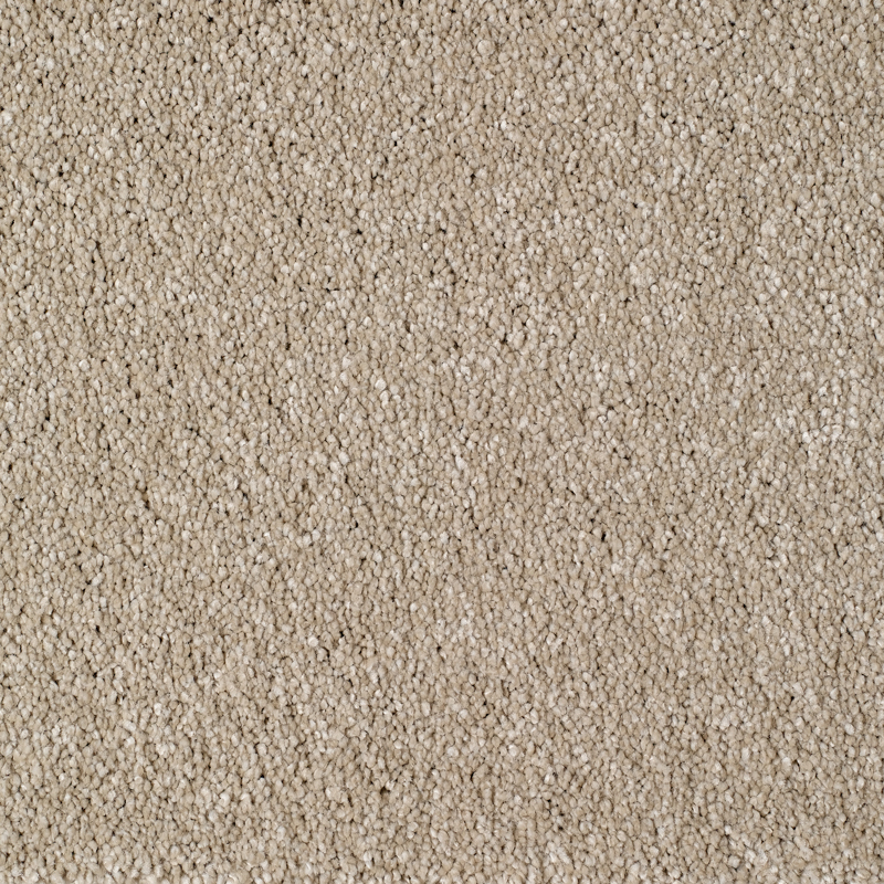 Eastbourne Elite Carpet | SPECIAL OFFERS