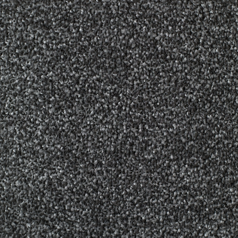 Everyroom Mullion Carpet | SPECIAL OFFER