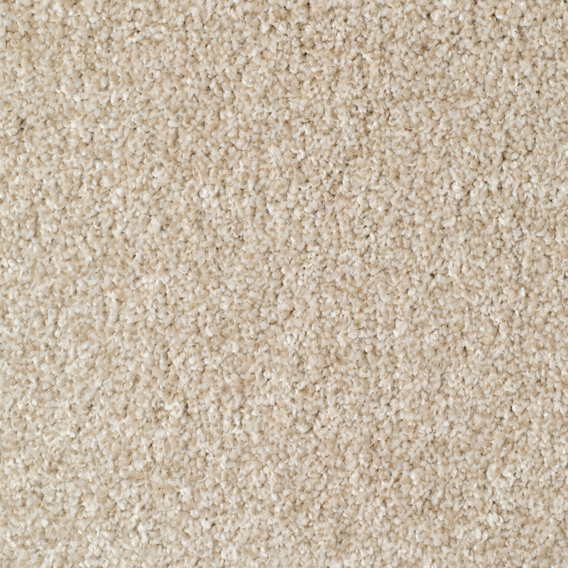 Everyroom Mullion Carpet | SPECIAL OFFER