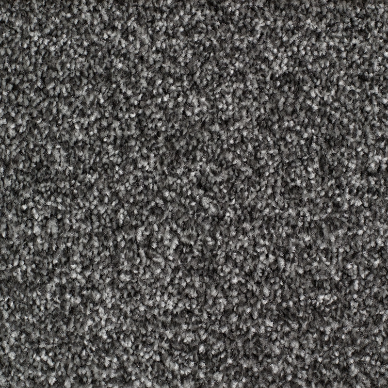 Everyroom Rye Carpet | SPECIAL OFFER