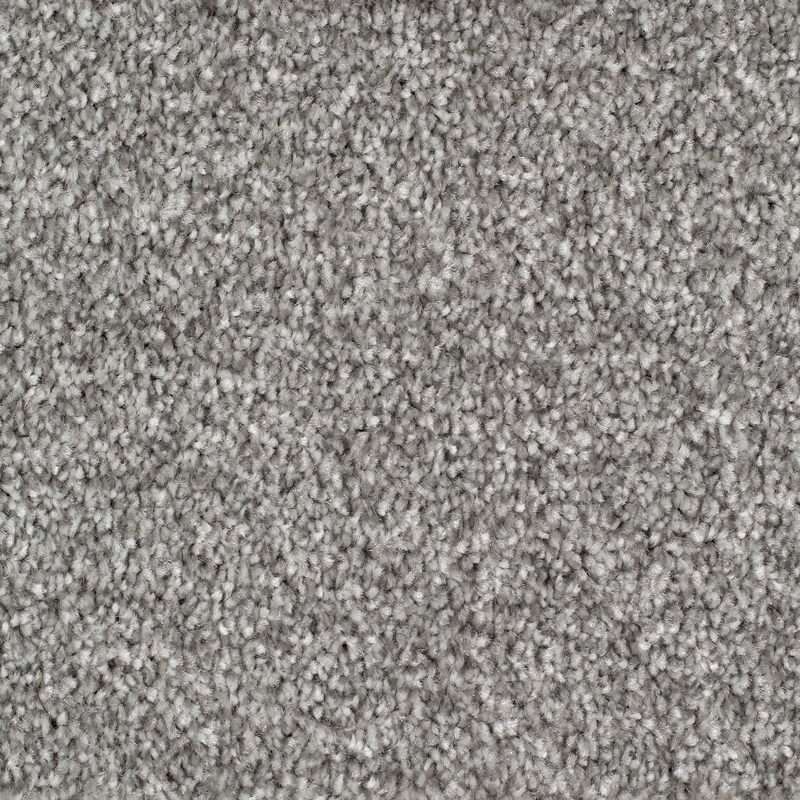 Everyroom Rye Carpet | SPECIAL OFFER