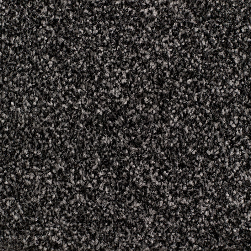 Everyroom Rye Carpet | SPECIAL OFFER