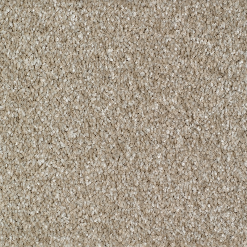 Everyroom Rye Carpet | SPECIAL OFFER