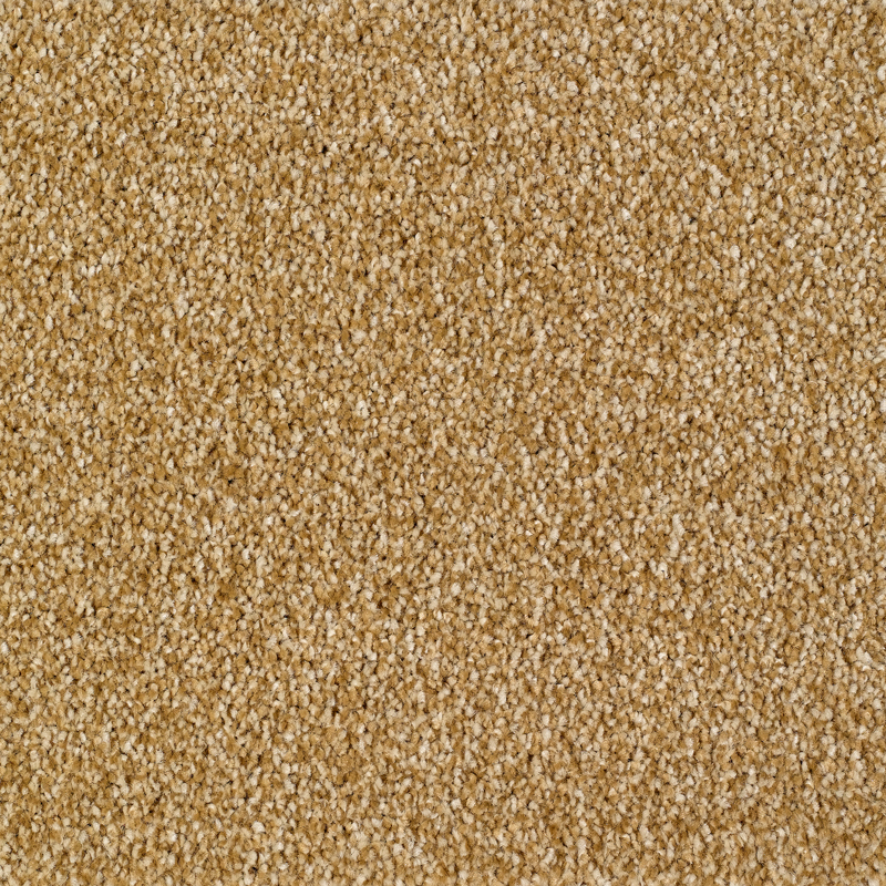 Sennen Twist Carpet | SPECIAL OFFERS