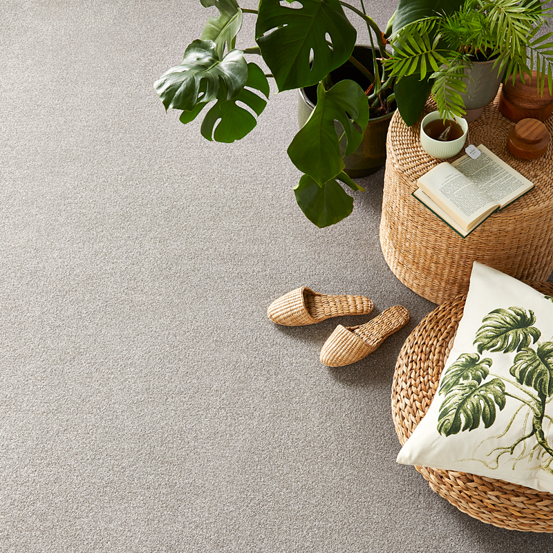 Sennen Twist Carpet | SPECIAL OFFERS