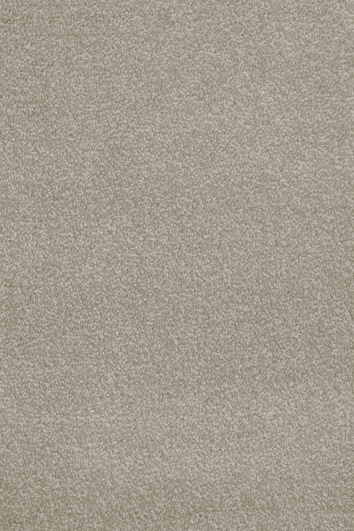 Invictus Septimus Carpet by Associated Weavers | SPECIAL OFFER