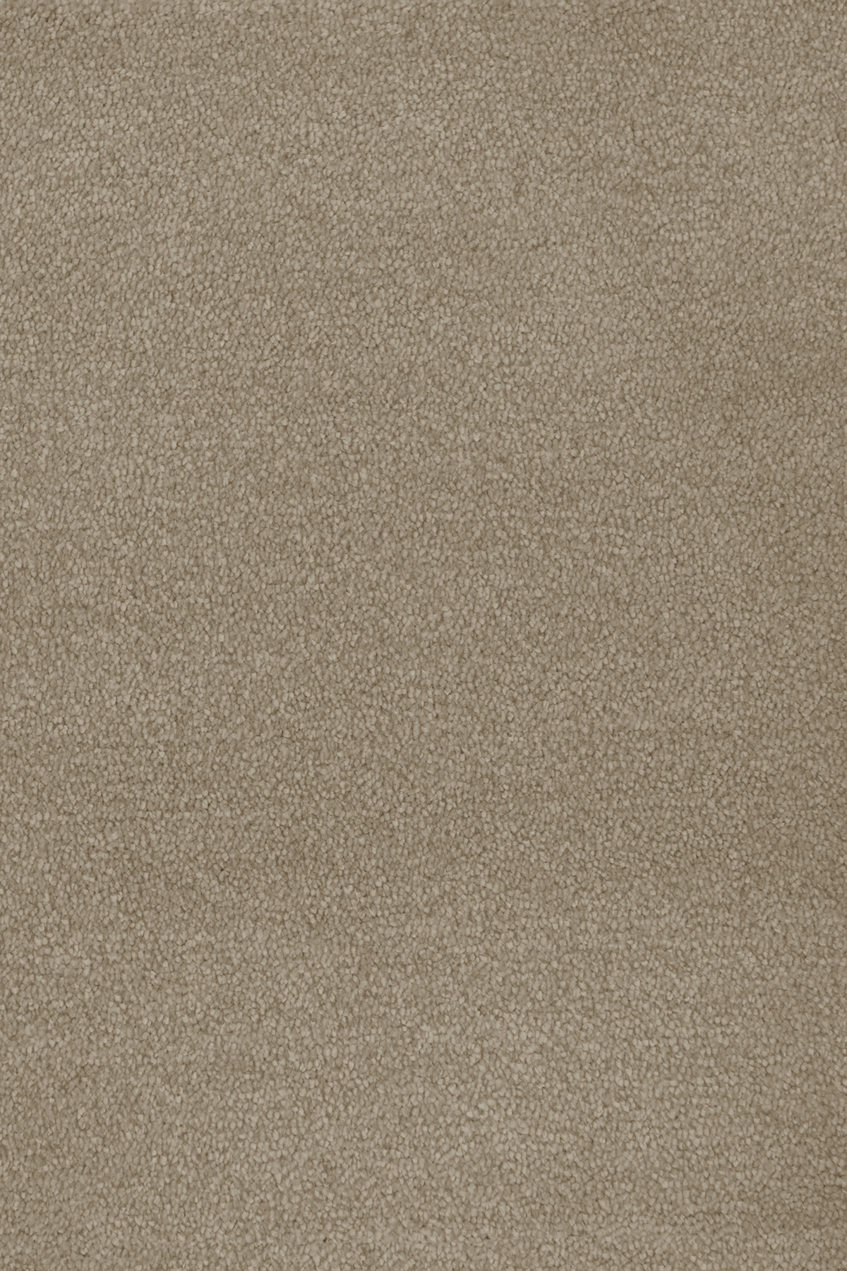 Invictus Septimus Carpet by Associated Weavers | SPECIAL OFFER