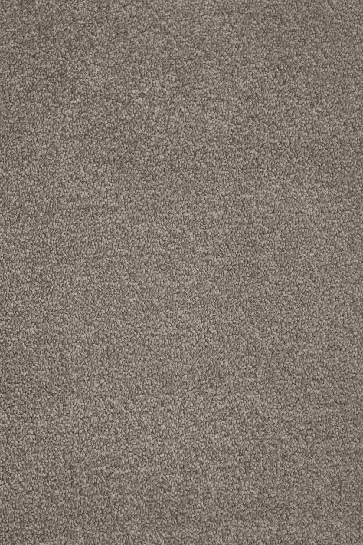 Invictus Septimus Carpet by Associated Weavers | SPECIAL OFFER