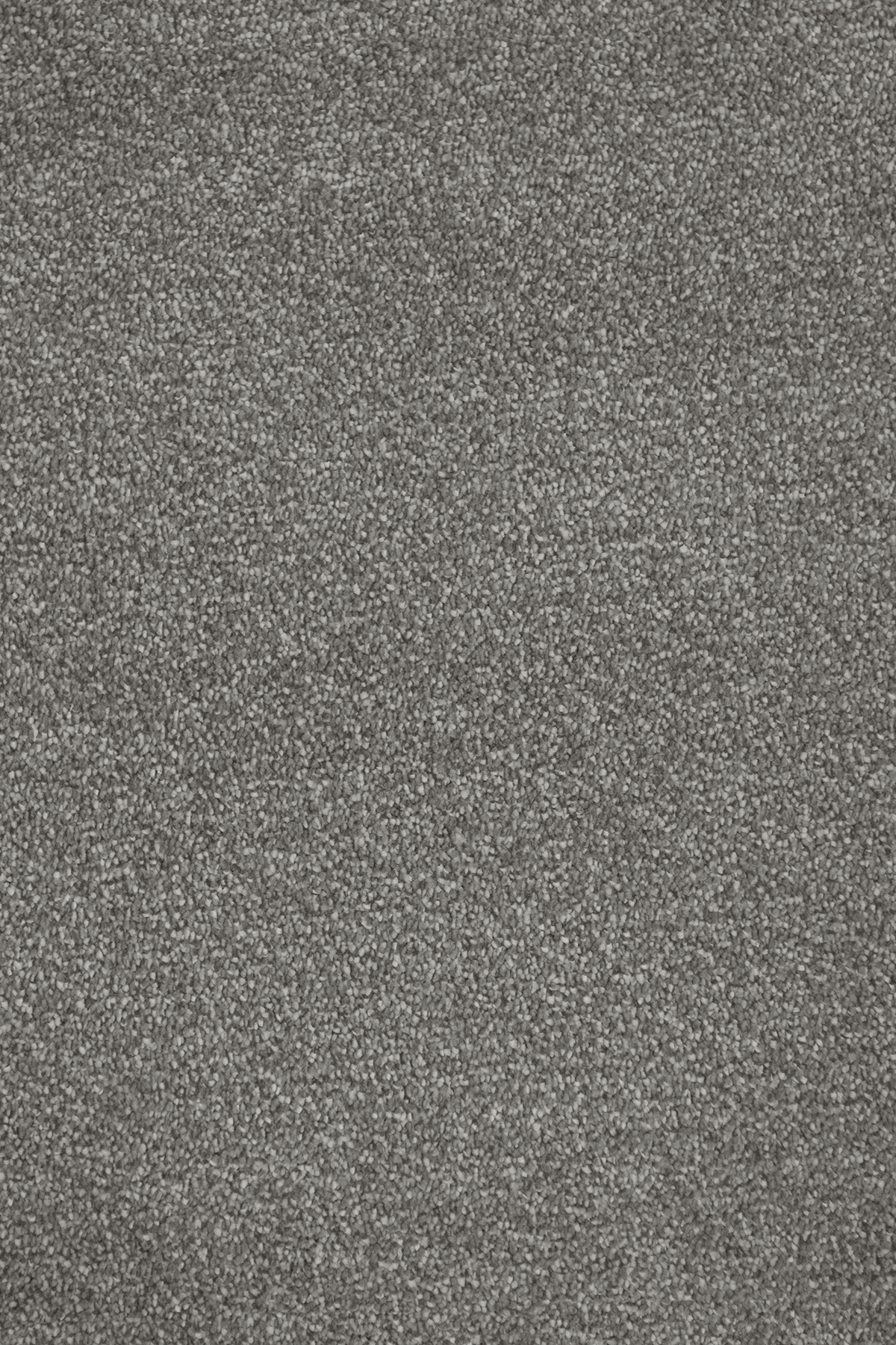 Invictus Septimus Carpet by Associated Weavers | SPECIAL OFFER