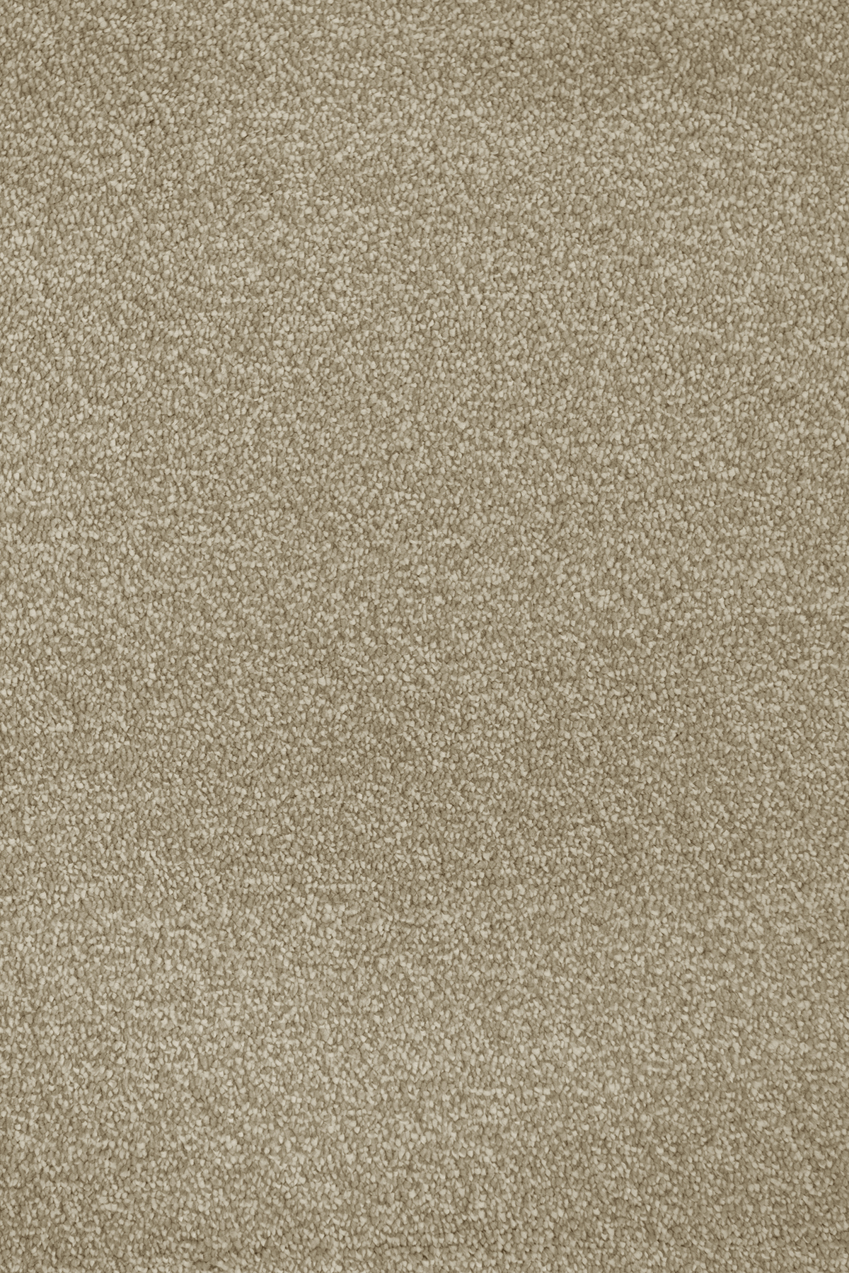 Invictus Septimus Carpet by Associated Weavers | SPECIAL OFFER