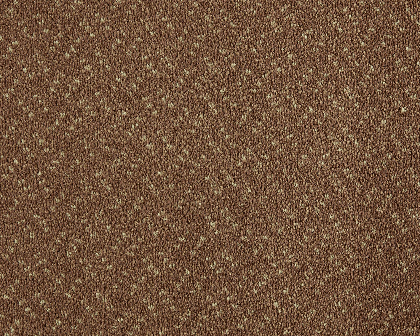 Scala Classic by Lano Carpets | NEW LOWER PRICE