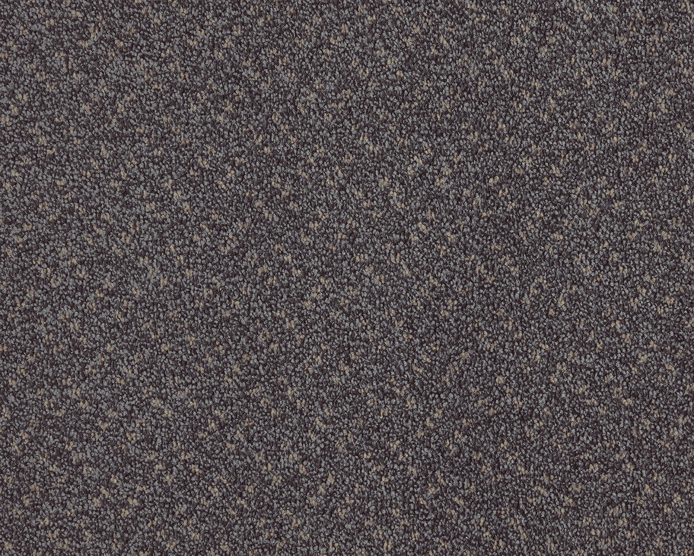 Scala Classic by Lano Carpets | NEW LOWER PRICE