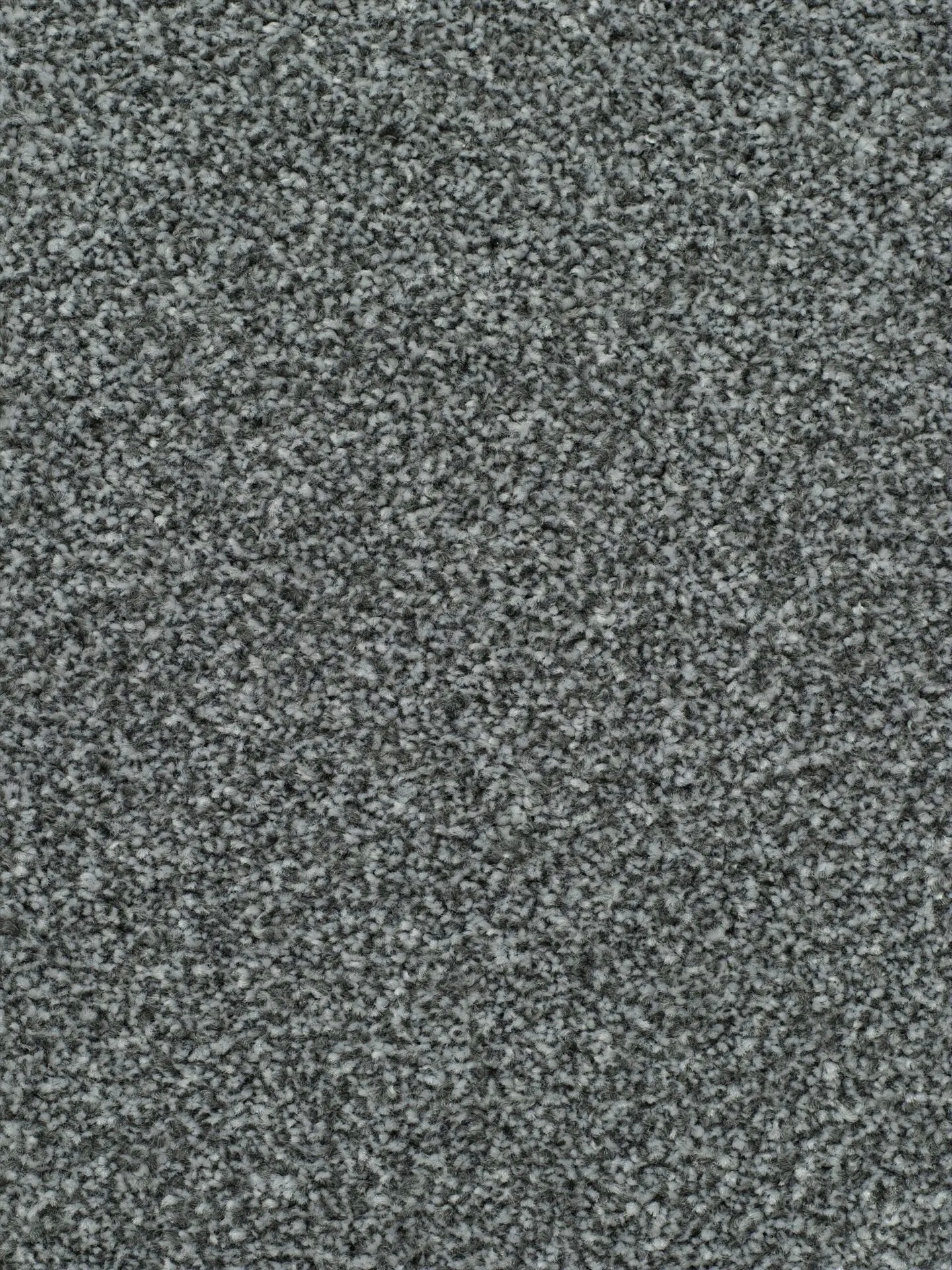 Kingsmead Devotion Gold Carpet | SPECIAL OFFER