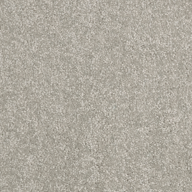 Lifestyle Floors Daintree Carpet | SPECIAL OFFER