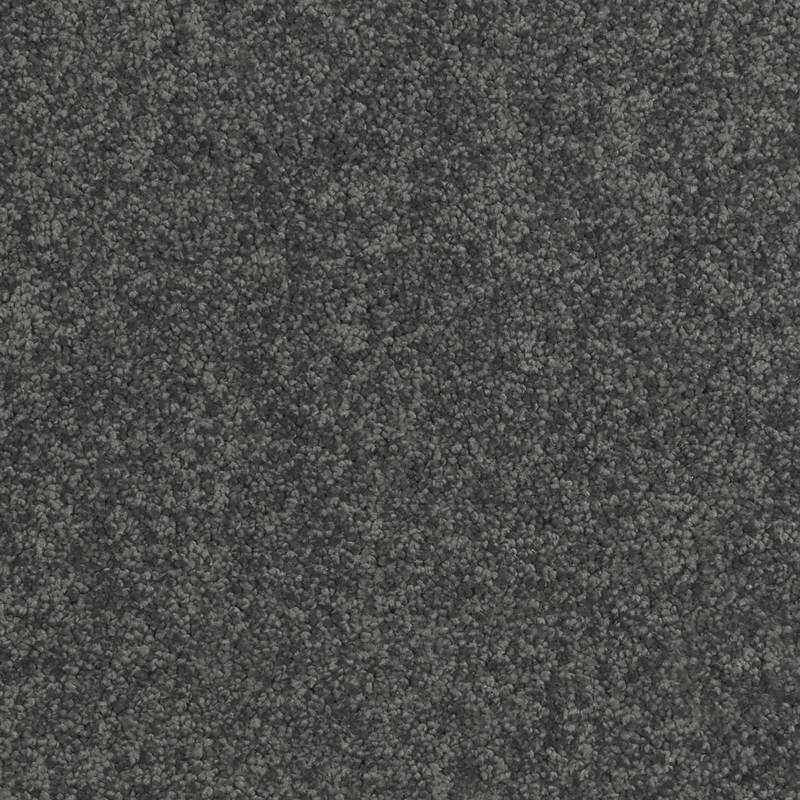 Lifestyle Floors Daintree Carpet | SPECIAL OFFER