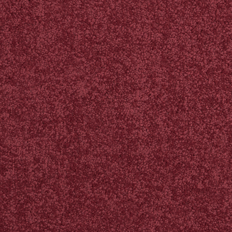 Lifestyle Floors Daintree Carpet | SPECIAL OFFER