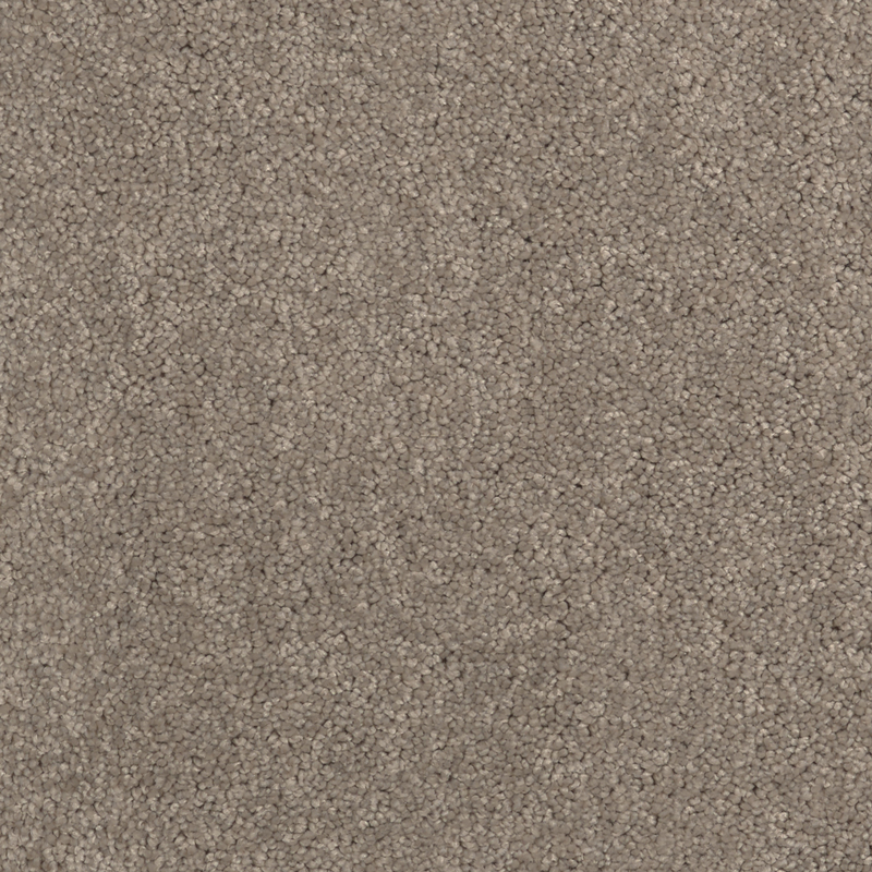 Lifestyle Floors Daintree Carpet | SPECIAL OFFER